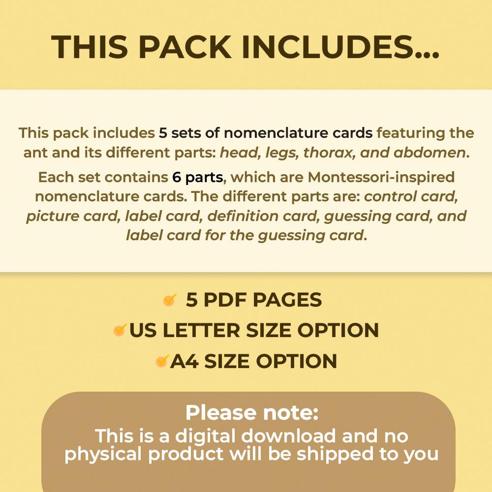 Ant Anatomy Parts of an Ant Insect Labeled Ant Anatomy of Ant ...