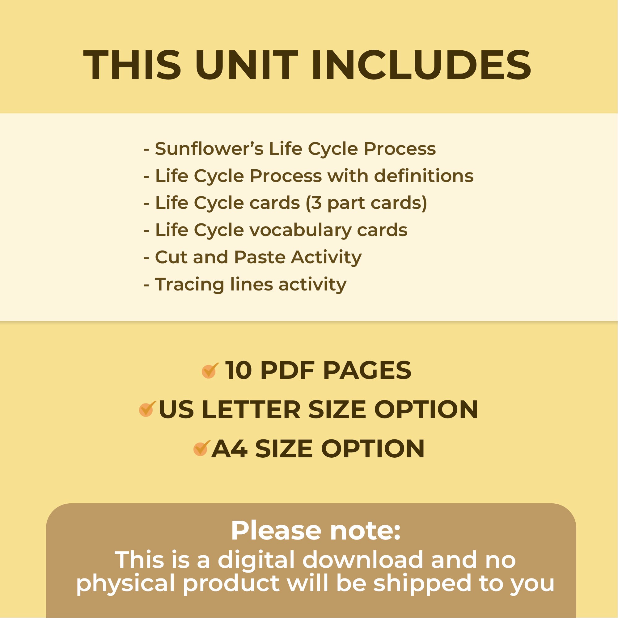 Sunflower Life Cycle Sunflower Unit Study Sunflower Growth Stages ...