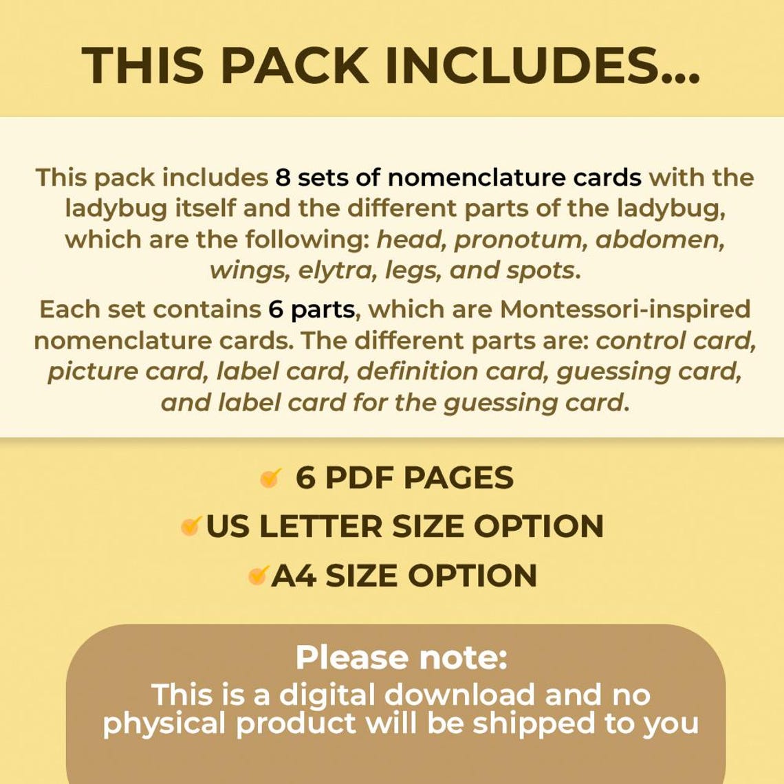 Parts of a Ladybug the Body Parts of a Ladybug Anatomy Parts Ladybug ...