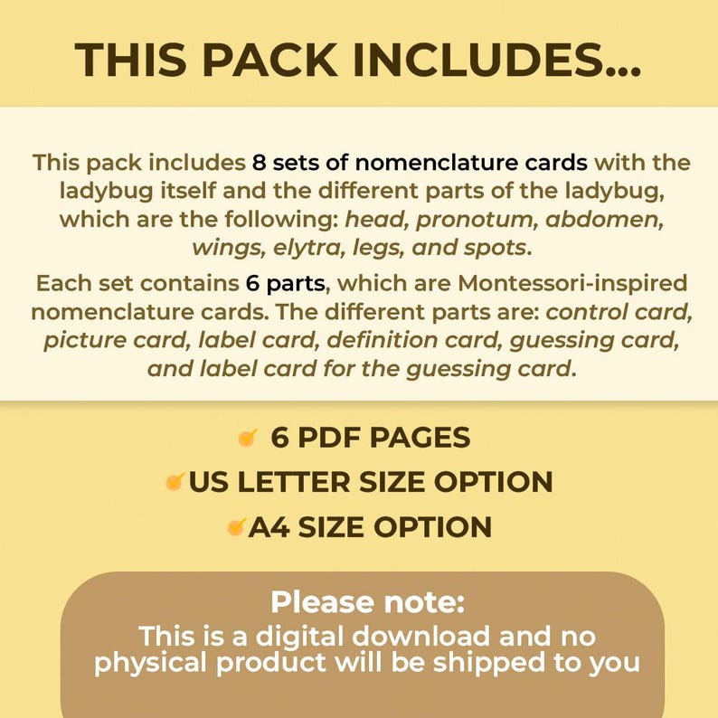 Parts of a Ladybug the Body Parts of a Ladybug Anatomy Parts Ladybug ...