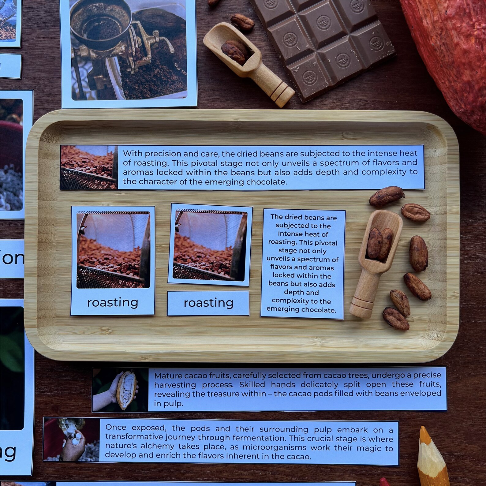Chocolate Unit Study How Chocolate is Made Unit Study Chocolate Process ...