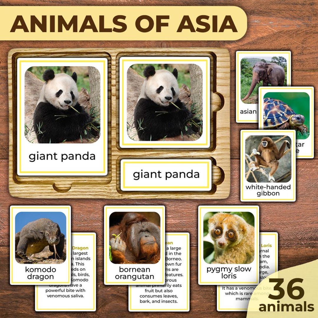 Animals of Asia Continent Asia Animals Flash Cards Asiatic Animals ...