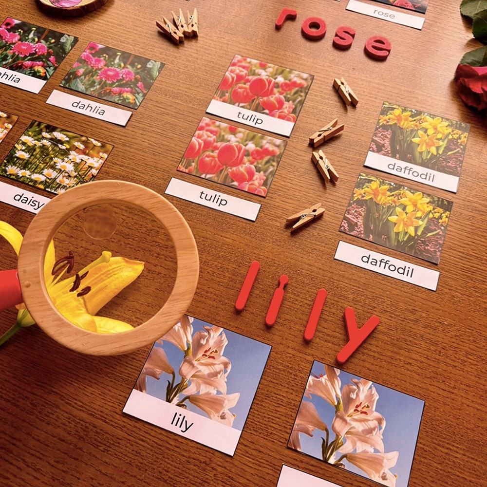 Types of Flowers Unit Study Flower Identification Flowers Montessori ...