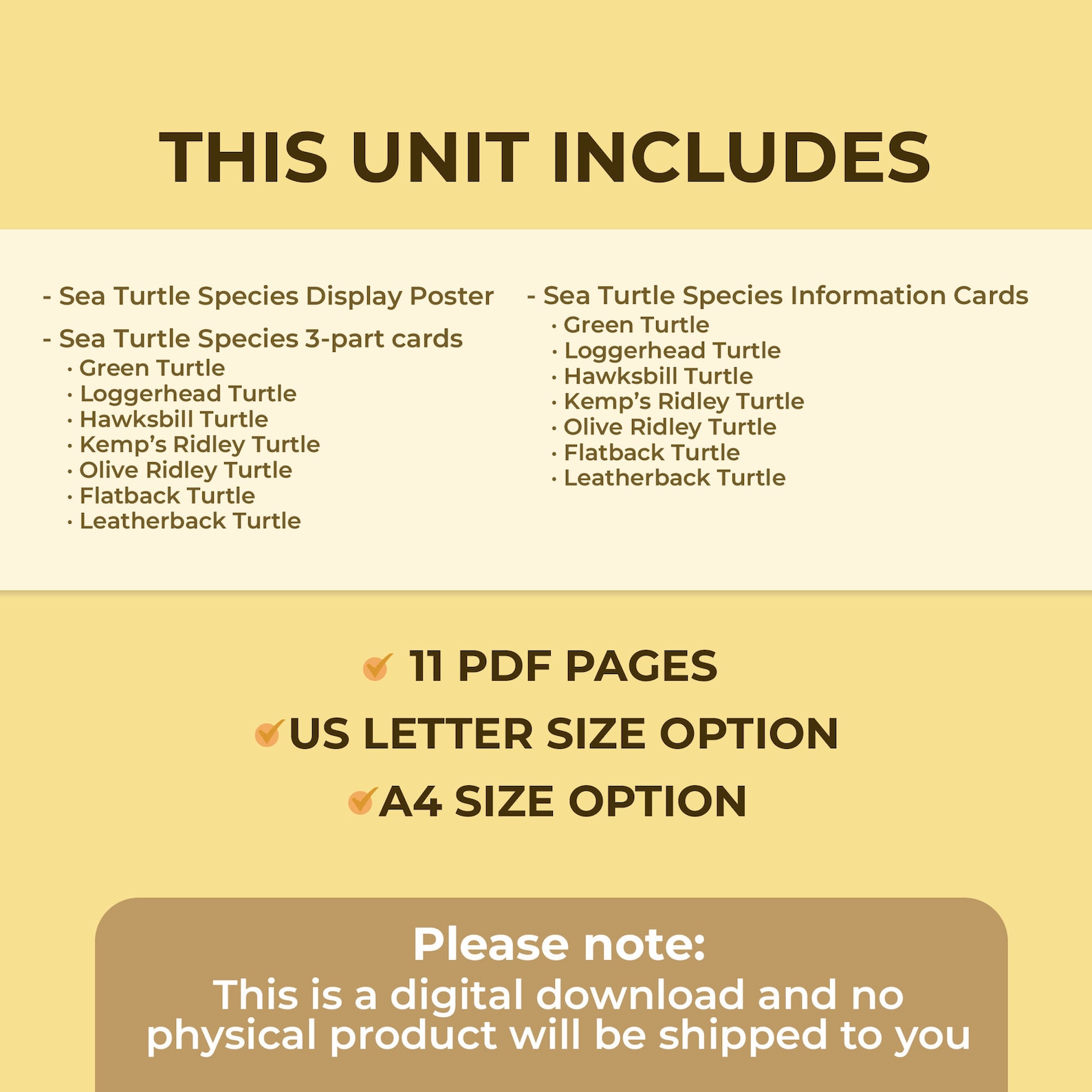 Sea Turtle Species Types of Sea Turtles All About Sea Turtles 3 Part ...