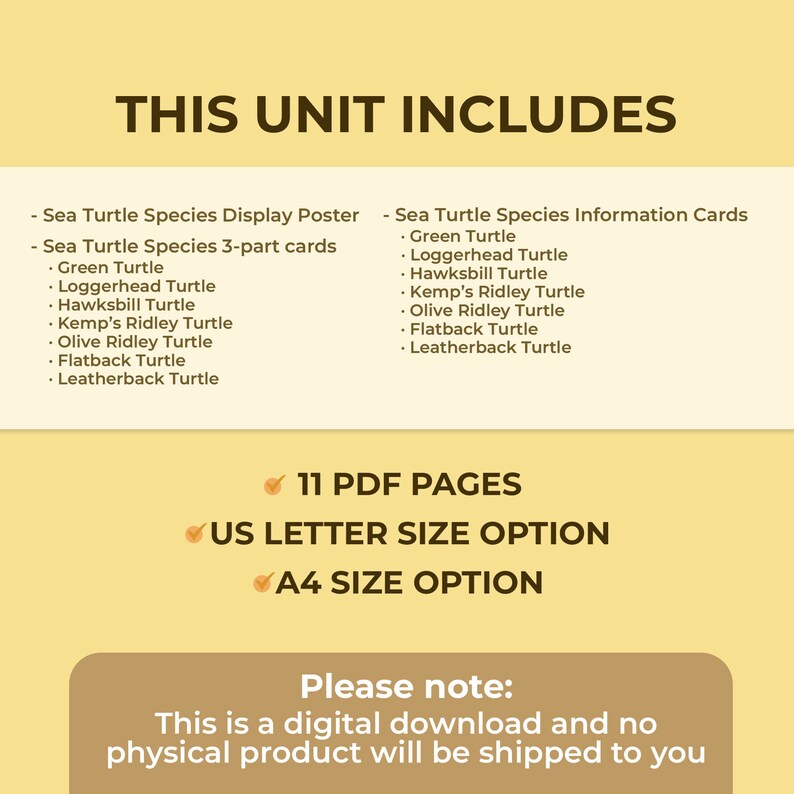 Sea Turtle Species Types of Sea Turtles All About Sea Turtles 3 Part Cards Sea Turtles ...