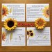 Parts of a Sunflower Anatomy Poster Sunflower Parts of a Sunflower ...