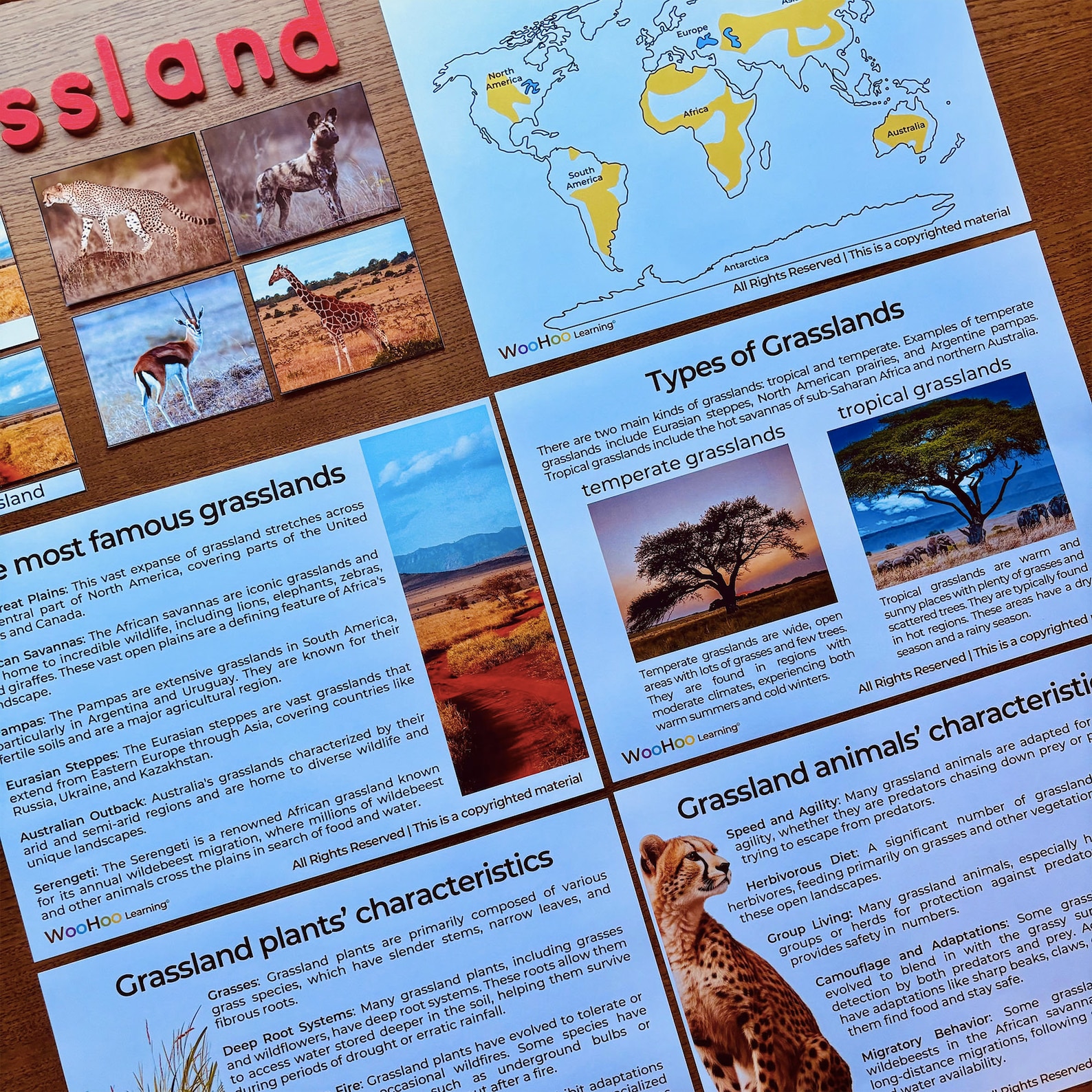 Animal Habitats Unit Study Animals and Habitats Biomes of the World ...