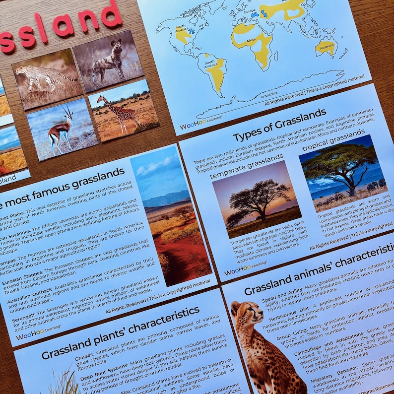 Animal Habitats Unit Study Animals and Habitats Biomes of the World ...