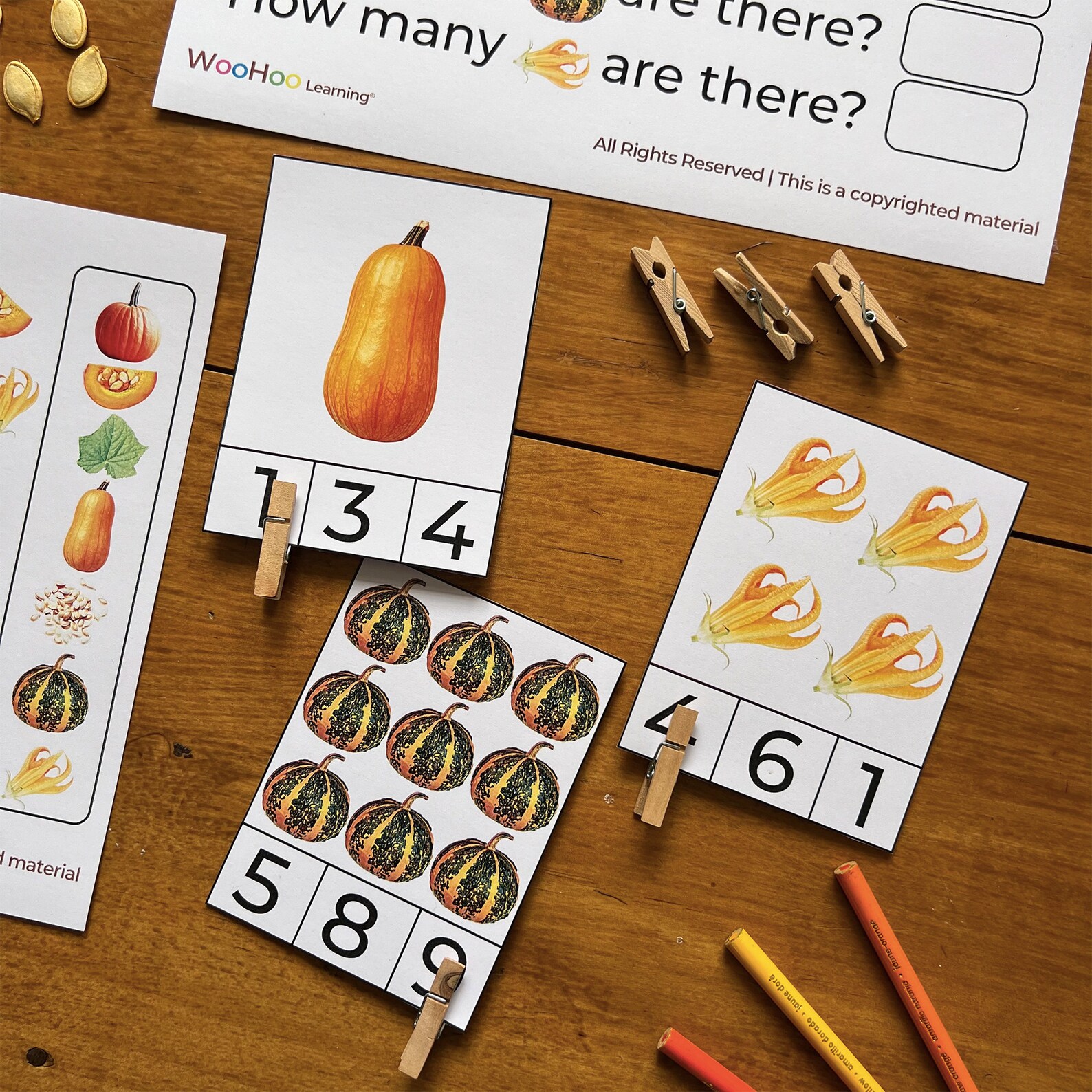 Montessori Math Activities Montessori Counting Activities Montessori ...