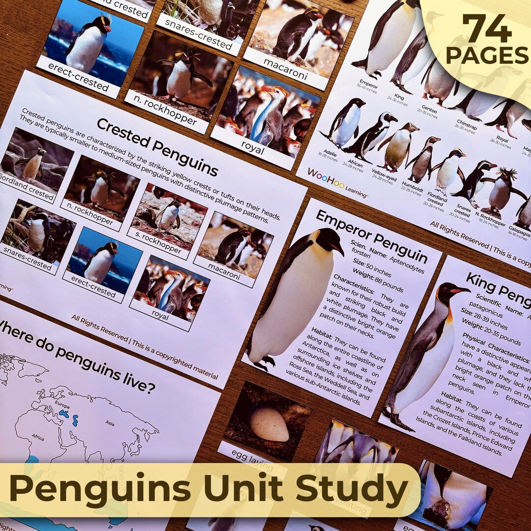 Penguins Unit Study Penguins Mini Unit Penguin Species Penguin Life ...