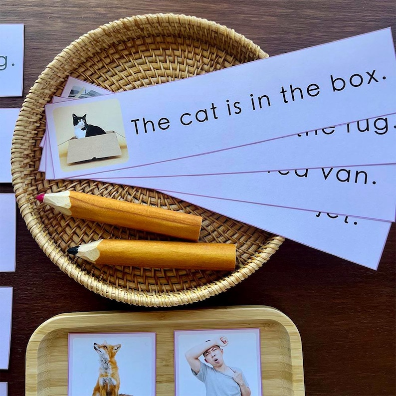 Montessori Pink Series Reading Sentences Pink Series Sentence Cards ...