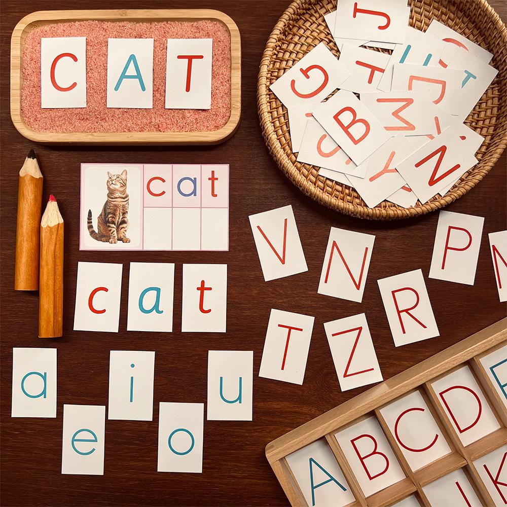 Montessori Movable Alphabet Printable Alphabet Digital Alphabet ...