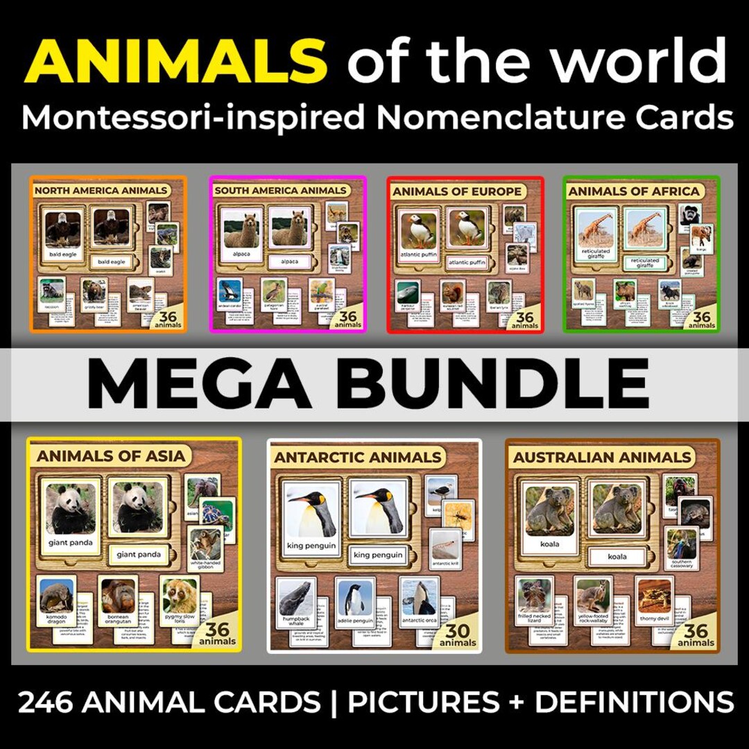 Animals of the World Animals Flashcards Animals Fact Cards Animals by ...