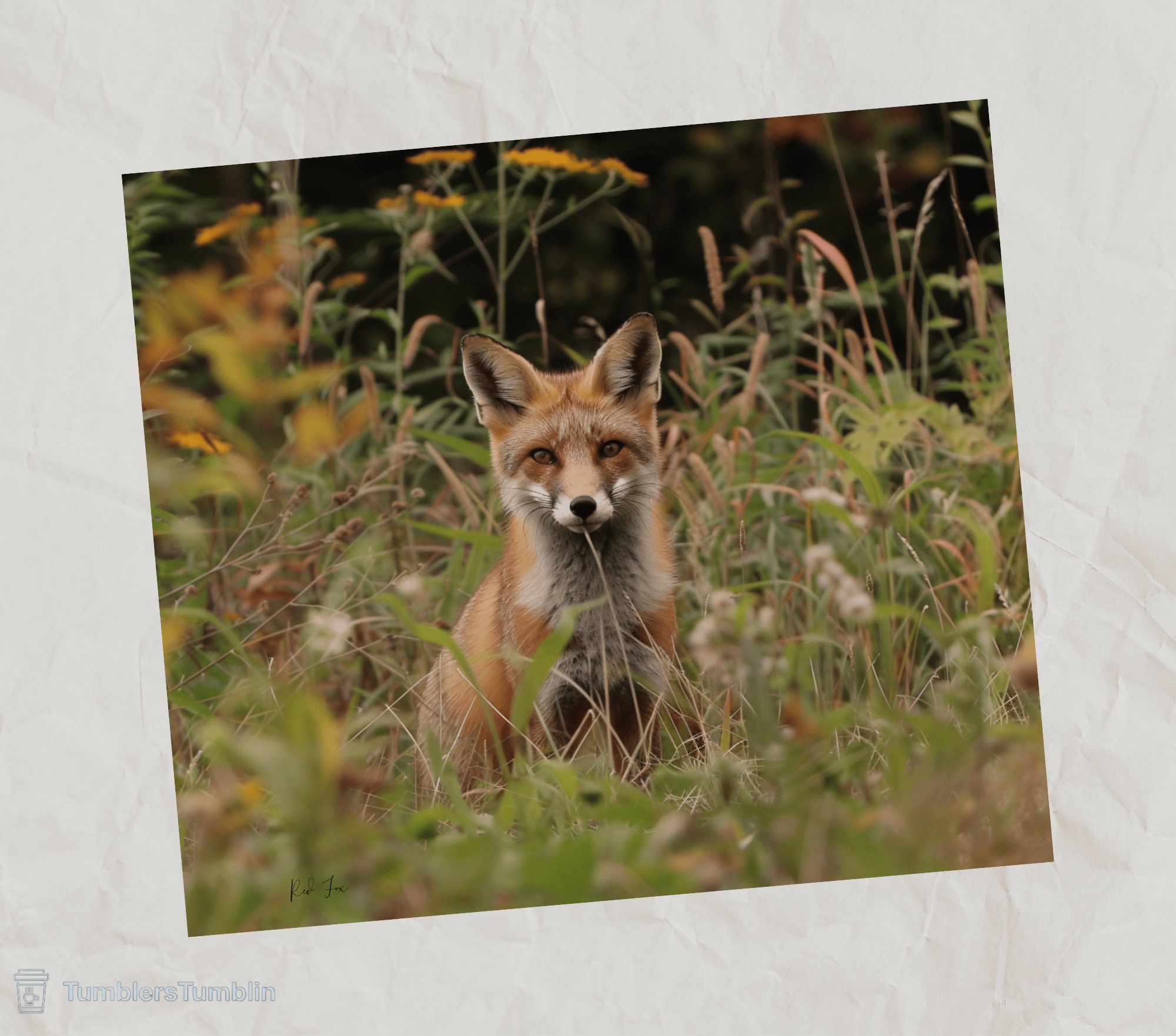 Red Fox Design Dogs Wild Animals 20 Oz Skinny Tumbler Sublimation ...