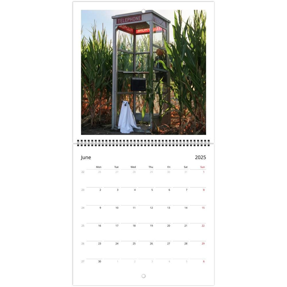 2025 Ghost Calendar international - Etsy