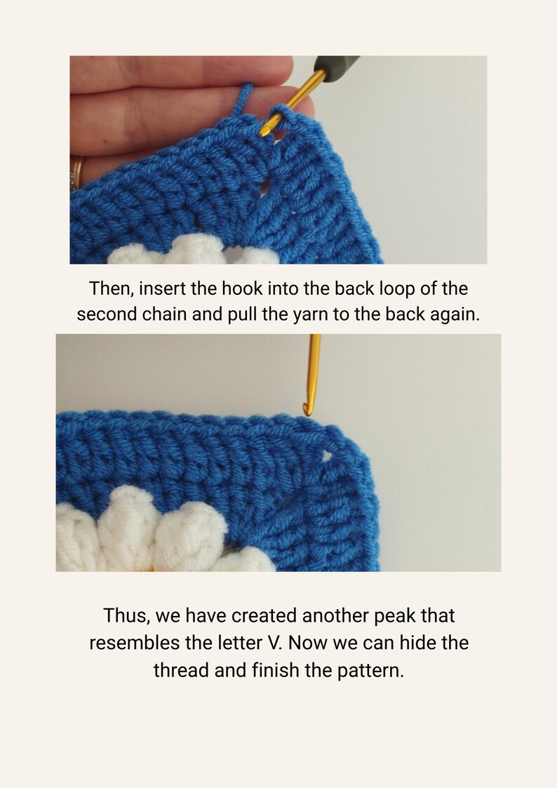 Step-by-step Daisy Crochet Pattern PDF + Short Video Support | Easy ...