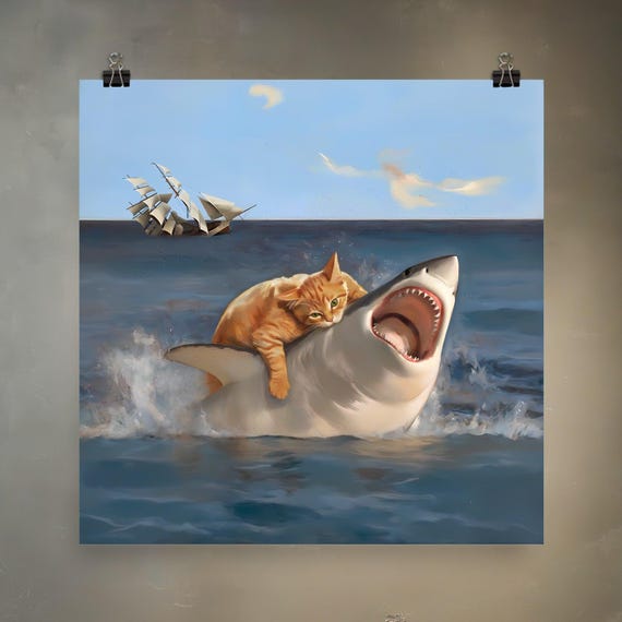 Cat Shark Memes