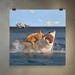 Tequila Cat Meme Art Re-imagined in Renaissance Painting Style on ...