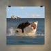 Tequila Cat Meme Art Re-imagined in Renaissance Painting Style on ...