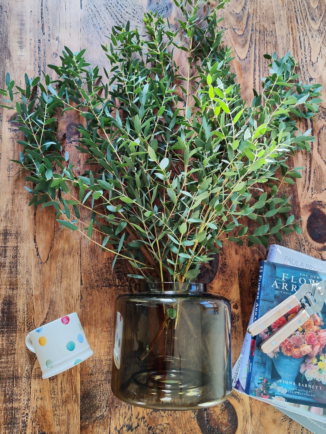 Fresh Eucalyptus Top Quality Foliage, A Grade Great for Events ...