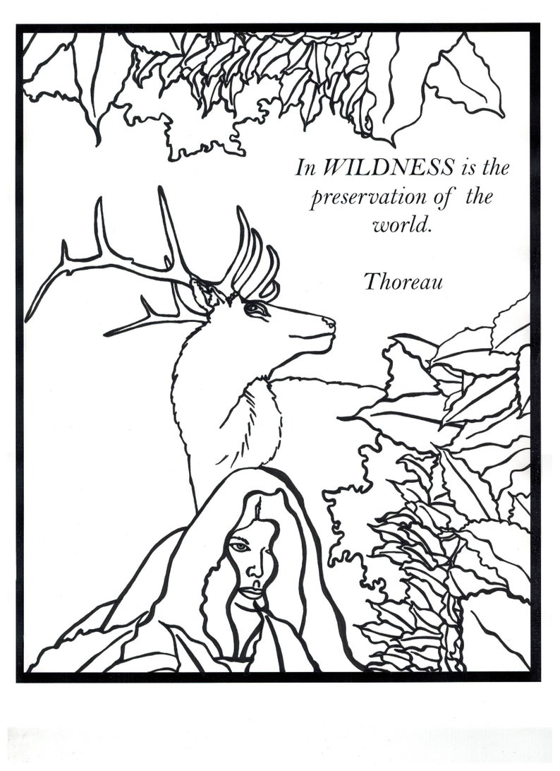 Adult Coloring Book: Wild Woman Portraits - Etsy