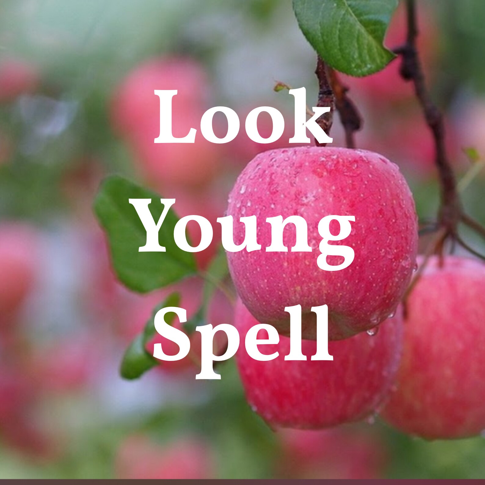 Look Young Spell - Etsy