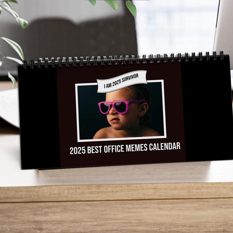 2025 Meme Calendar - Etsy