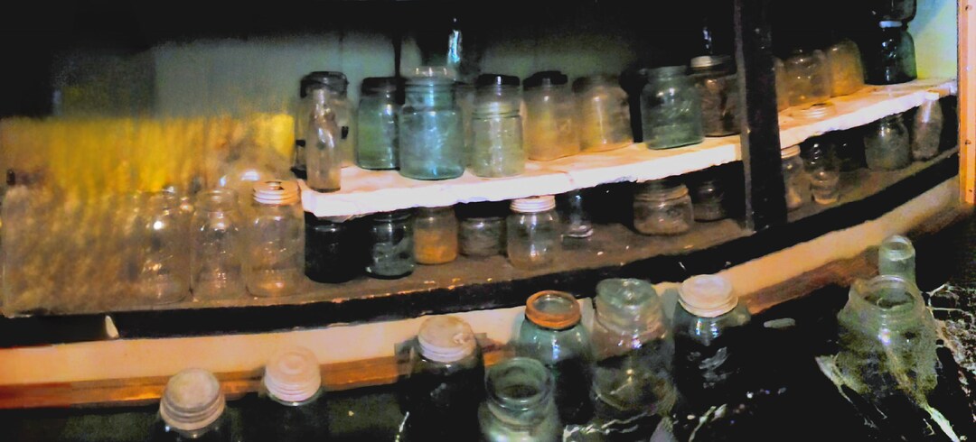 Large Mason Jar Collection - Etsy