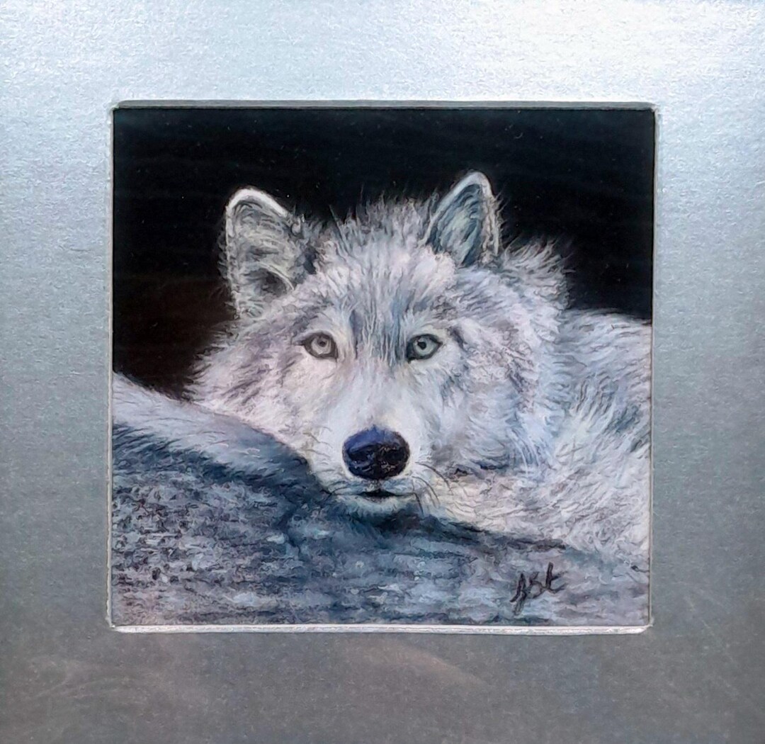 Wolf. an Original Miniature Pastel Painting. 10cm X 10cm Image Mounted ...