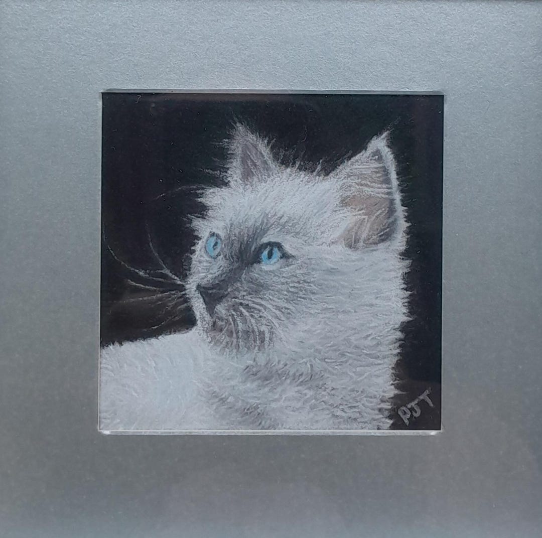 Kitten. an Original Miniature Pastel Painting. 10cm X 10cm Image ...