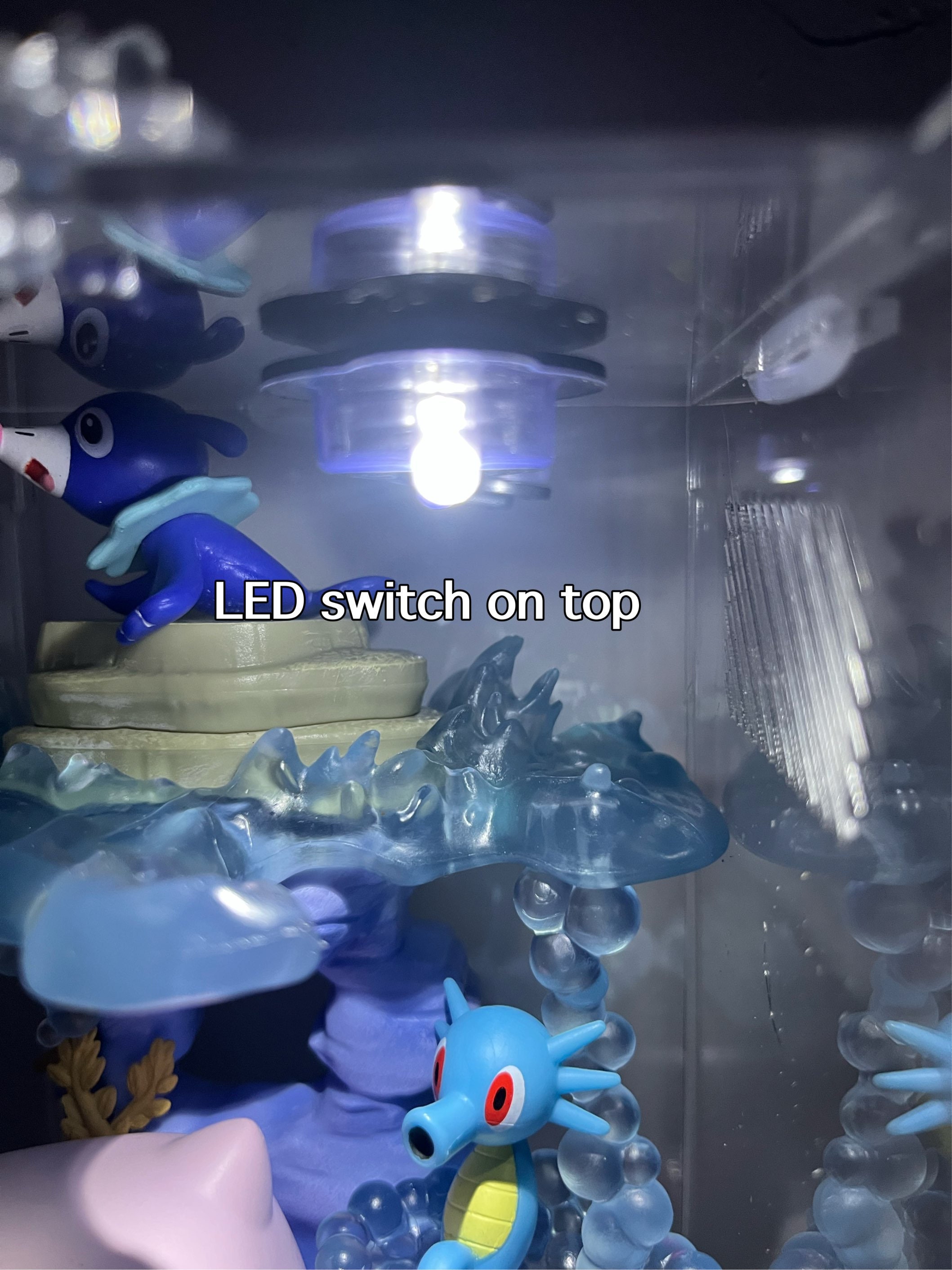 Acrylic Ocean Mew Jumping Spider Enclosure - Etsy