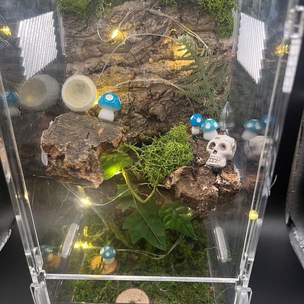 Jumping Spider Enclosure - Etsy