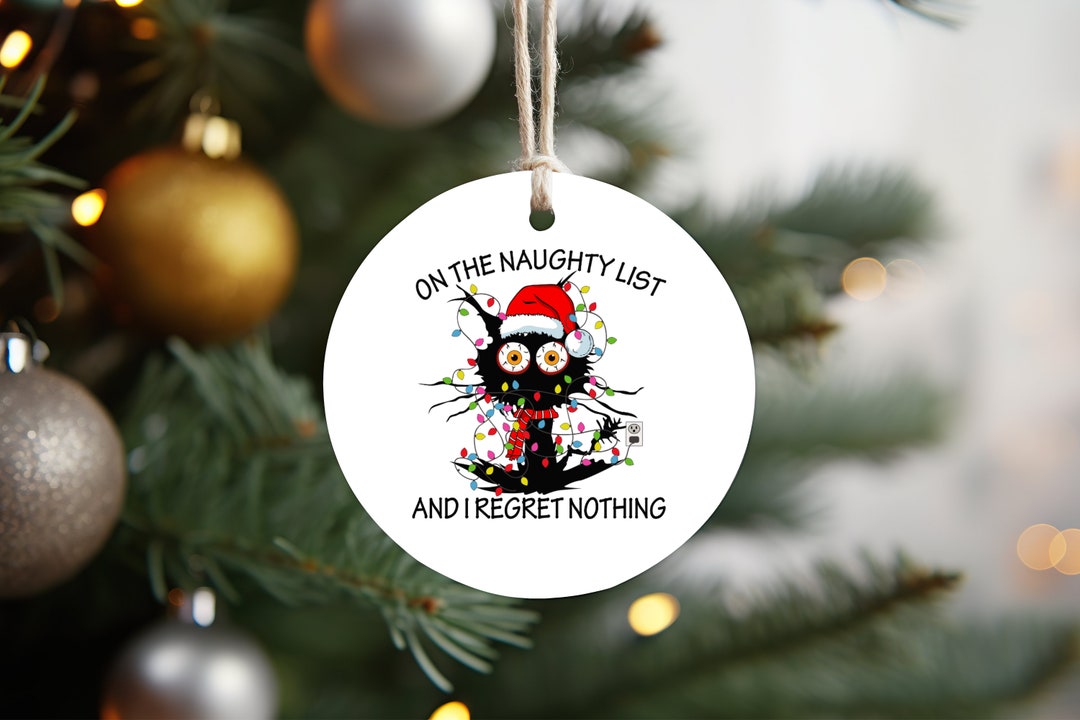 Naughty List Cat Christmas Ornament - Funny Gift Idea for Cat Lovers ...
