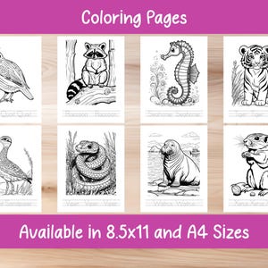 Animal Alphabet Coloring and Name Tracing Pages - Printable ...
