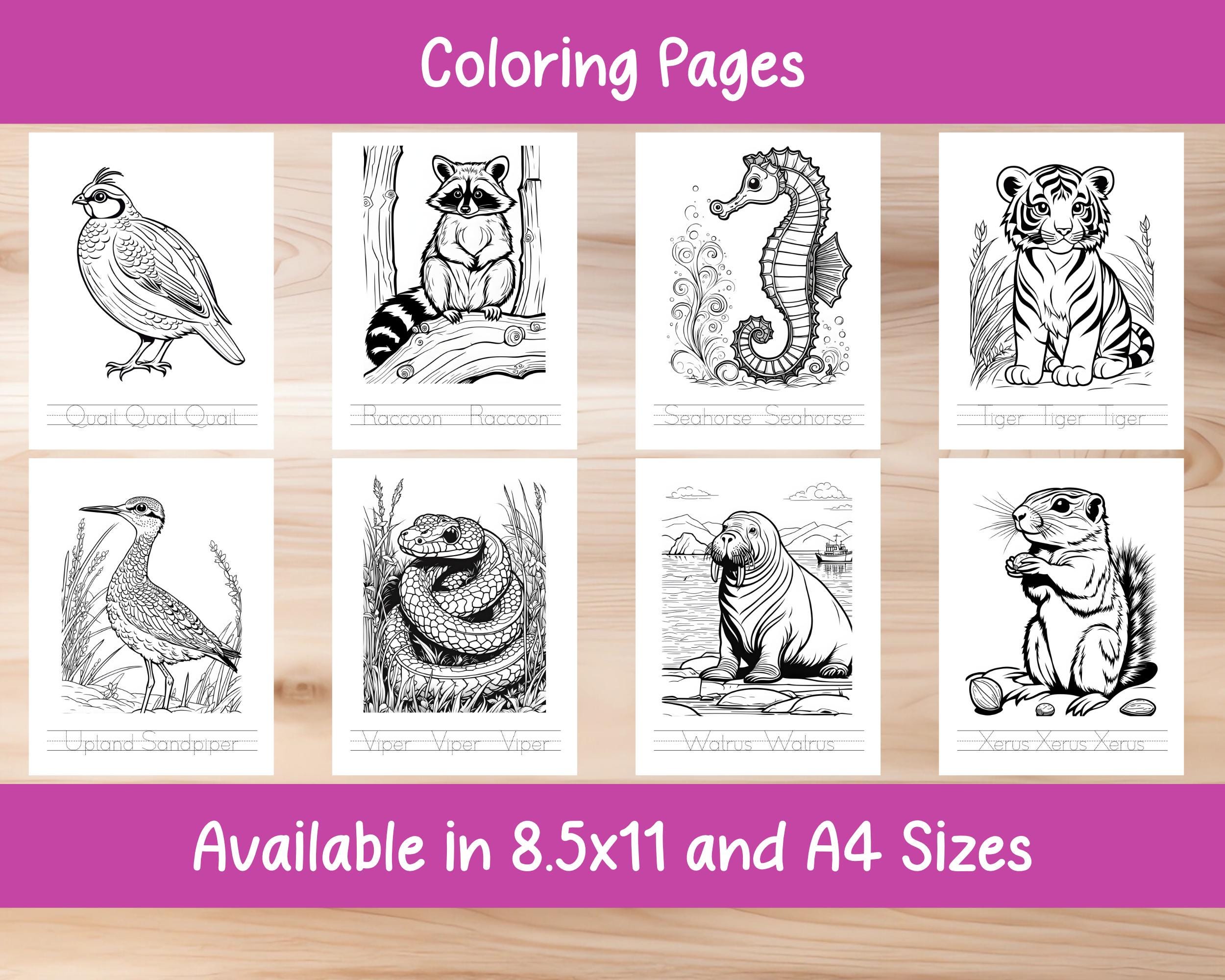 Animal Alphabet Coloring and Name Tracing Pages - Printable ...