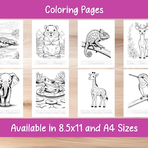 Animal Alphabet Coloring and Name Tracing Pages - Printable ...