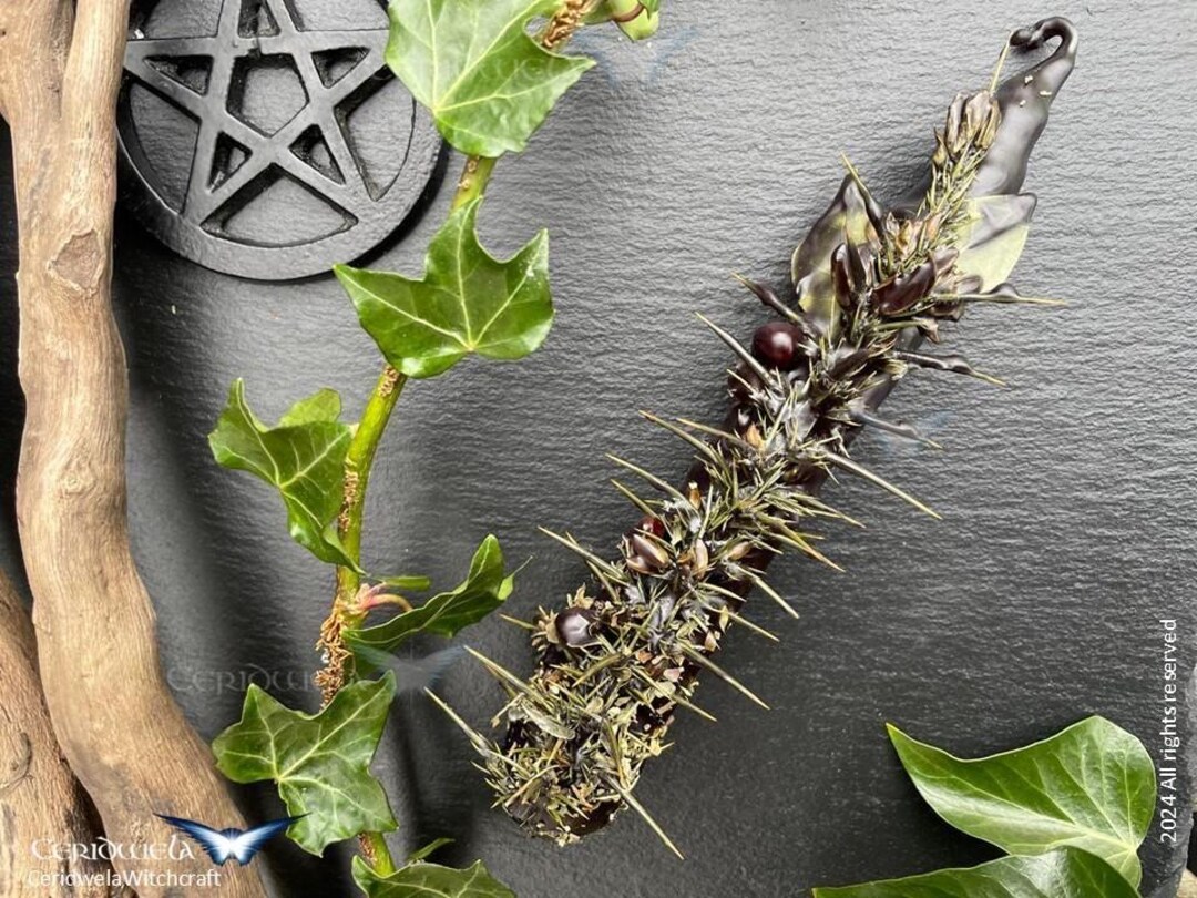 Ceridwela Sanctuary Shield PROTECTION™ Ritual Candle, Aura Cleansing ...
