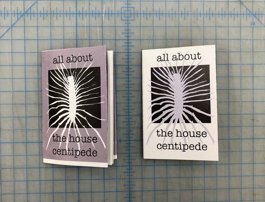 All About House Centipedes // Mini Single Sheet Zine - Etsy