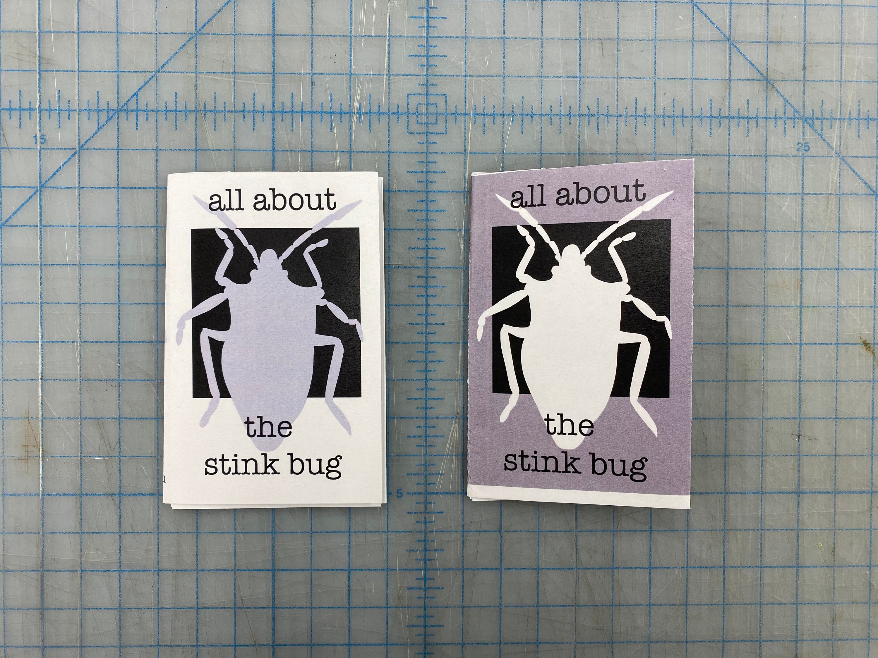 All About Stink Bugs // Mini Single Sheet Zine - Etsy