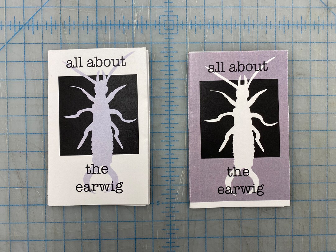 All About Earwigs // Mini Single Sheet Zine - Etsy