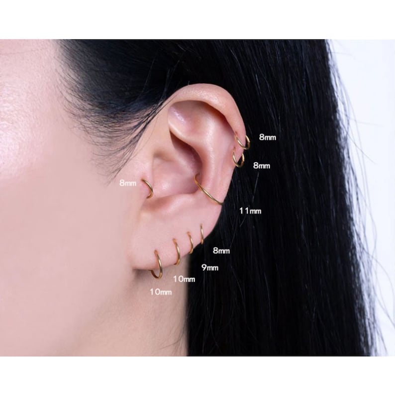 Titanium Hinge Hoop Hinged Segment Nose Ring Septum Clicker Ring Cartilage Hoop Nose Ring Helix ...