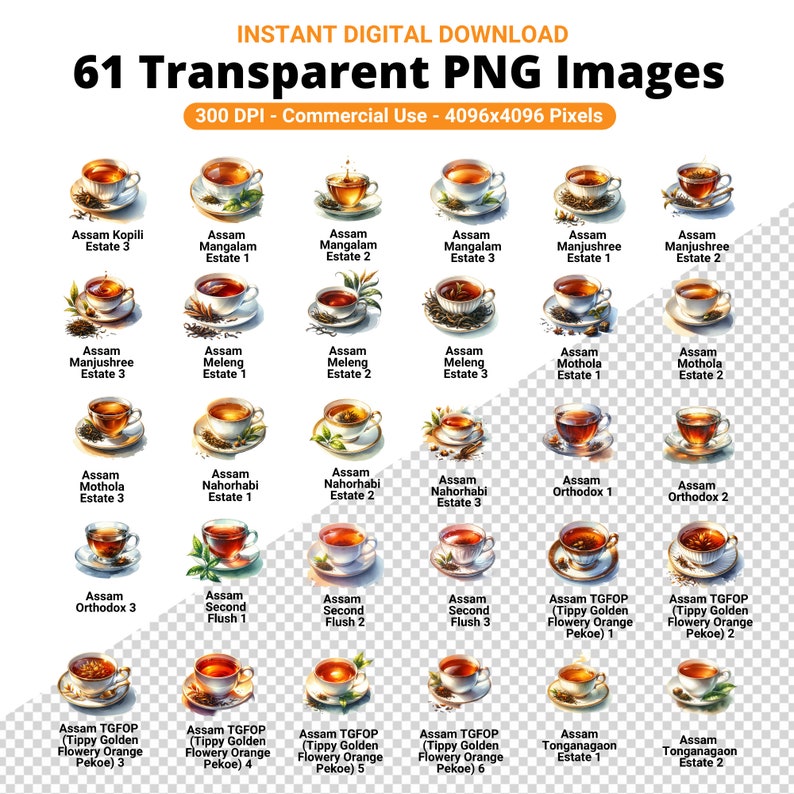 Assam Tea Clipart Bundle, Set of 61, Assam Tea PNG, Assam Tea Cuteness ...