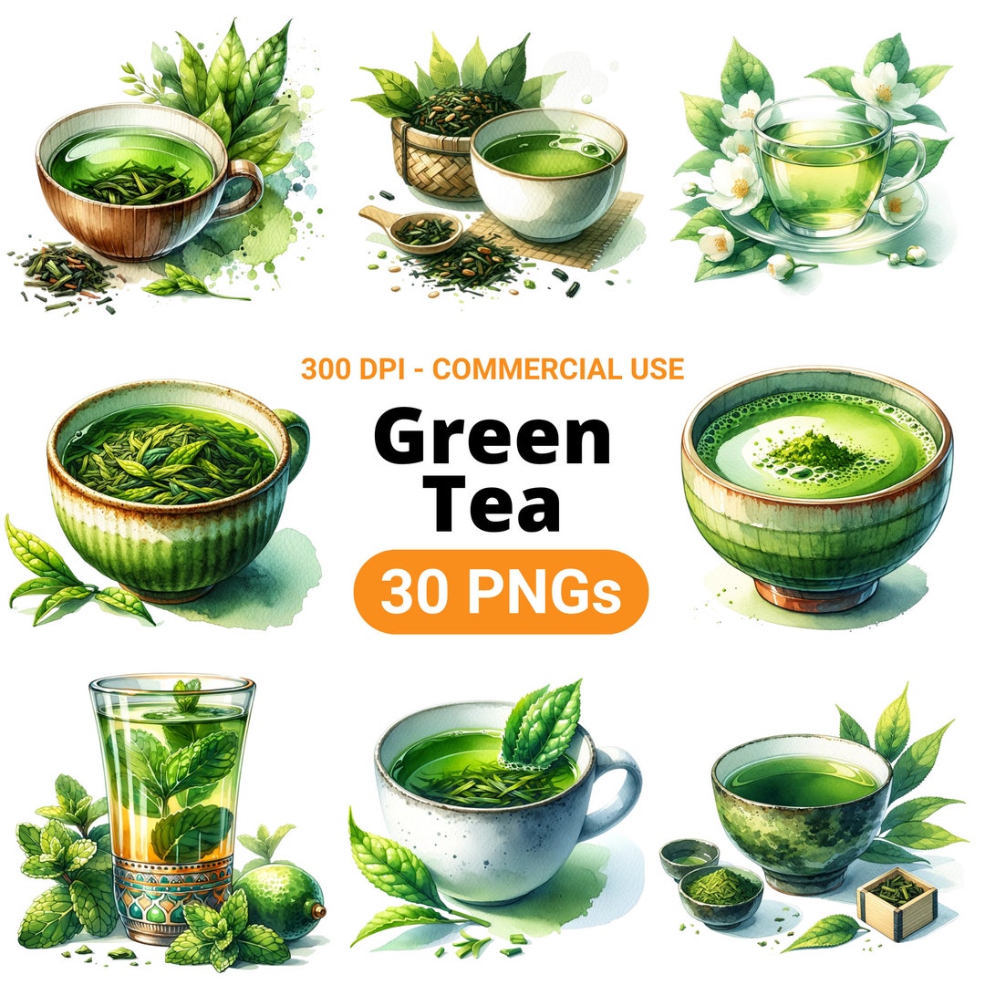 Green Tea Clipart Bundle, Set of 30, Green Tea PNG, Green Tea Cuteness ...