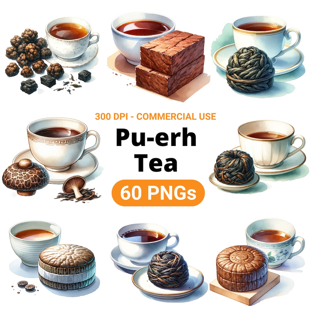 Pu-erh Tea Clipart Bundle, Set of 60, Pu-erh Tea PNG, Pu-erh Tea ...