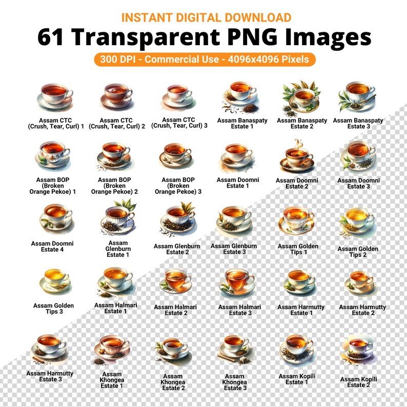 Assam Tea Clipart Bundle, Set of 61, Assam Tea PNG, Assam Tea Cuteness ...