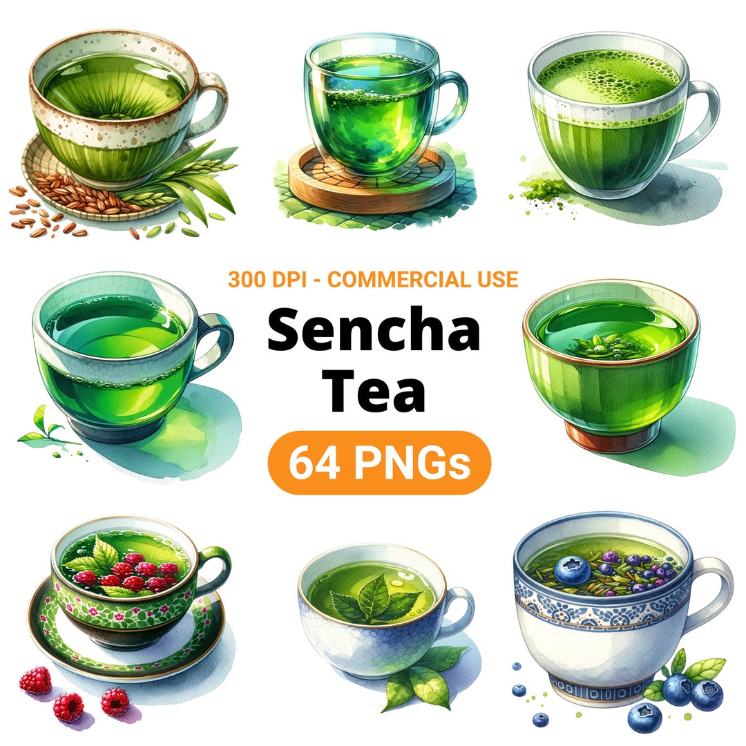 Sencha Tea Clipart Bundle, Set of 64, Sencha Tea PNG, Sencha Tea ...