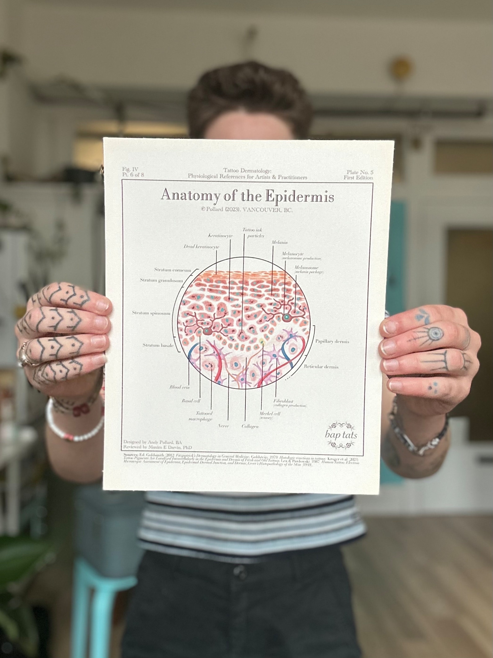 Fig 4. “anatomy of the Epidermis” Tattoo Dermatology Art Print - Etsy Canada