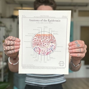 Fig 4. “anatomy of the Epidermis” Tattoo Dermatology Art Print - Etsy