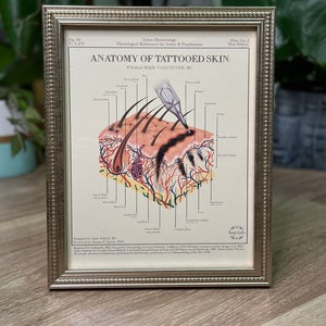 Fig. 3 “anatomy of Tattooed Skin” Tattoo Dermatology Art Print - Etsy