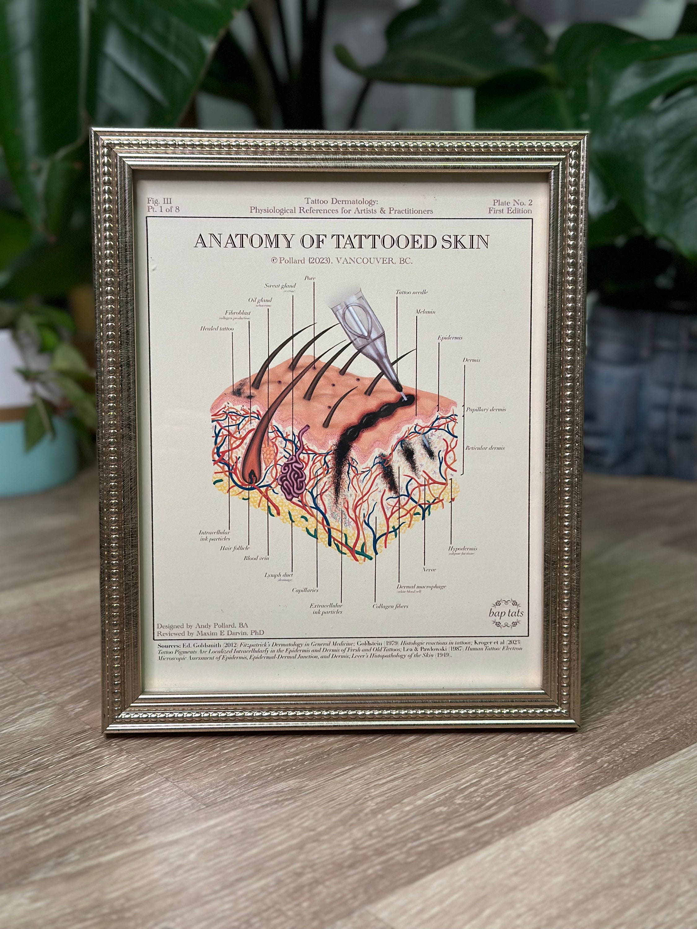 Fig. 3 “anatomy of Tattooed Skin” Tattoo Dermatology Art Print - Etsy